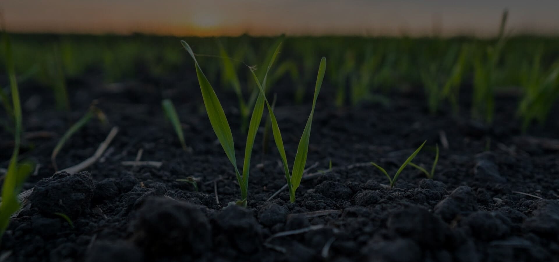 Four Seasons Agribusiness - Premium Quality Crop Protection Products