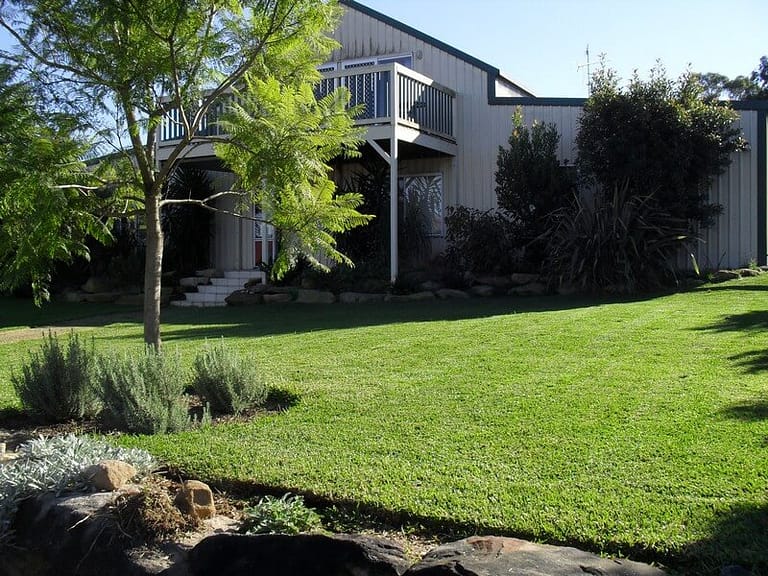 Matilda Turf - Soft Leaf Buffalo Grass – Quality Turf Supplier