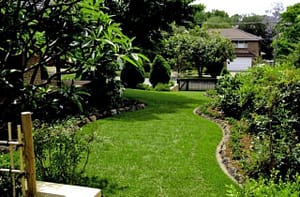 Turf Varieties Sydney - Quality Lawn and Turf Supply Windsor