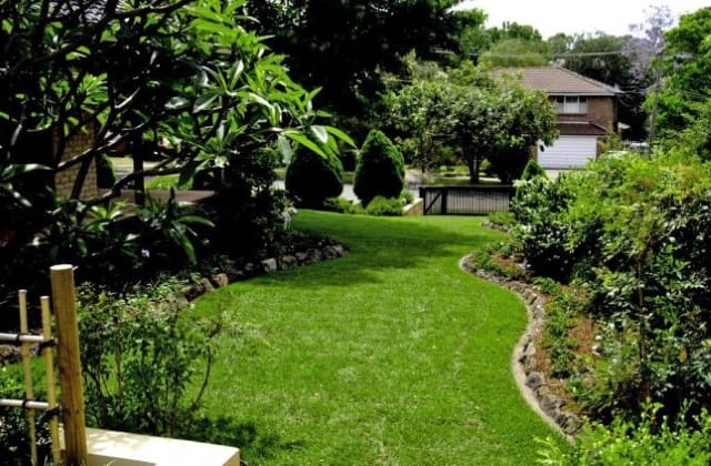 Turf Varieties Sydney - Quality Lawn and Turf Supply Windsor