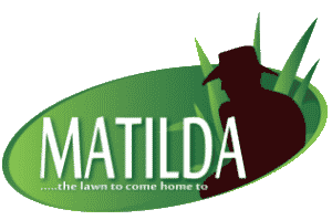 Matilda Turf - Soft Leaf Buffalo Grass – Quality Turf Supplier