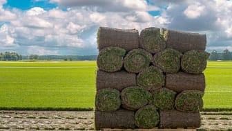 Associated Turf Supplies Sydney | Instant Turf Supplier Sydney