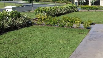 Associated Turf Supplies Sydney | Instant Turf Supplier Sydney
