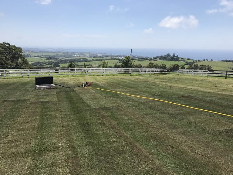 Maxi Turf Laying Service Sydney – Associated Turf