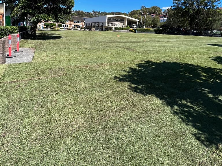 Maxi Turf Laying Service Sydney – Associated Turf