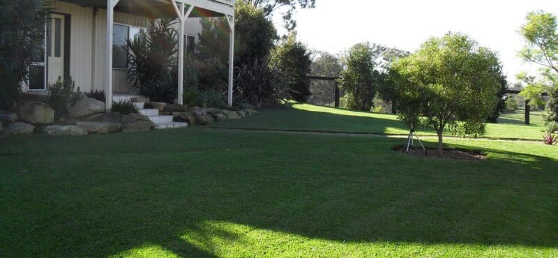 Associated Turf Supplies Sydney | Instant Turf Supplier Sydney