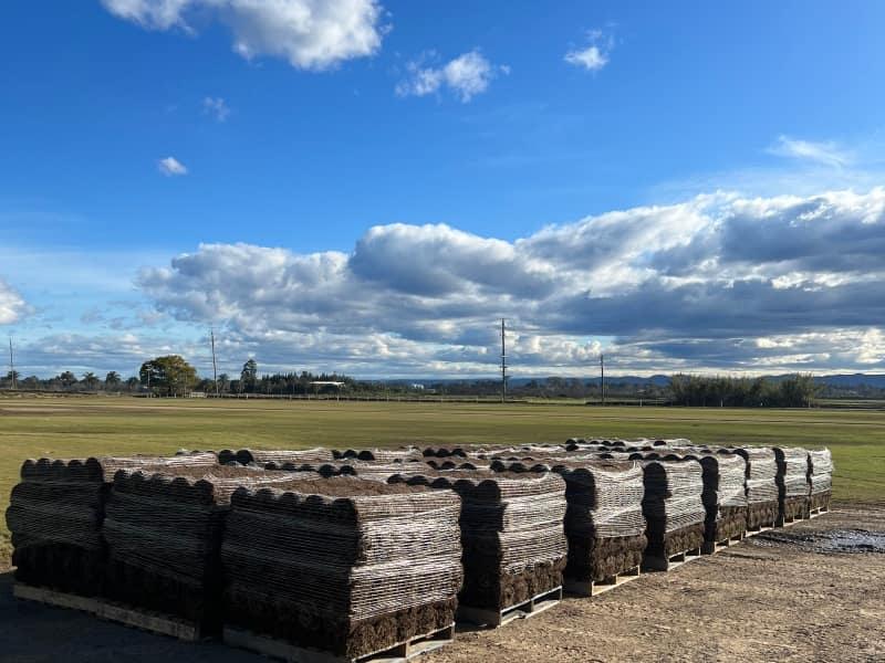 Associated Turf Supplies Sydney | Instant Turf Supplier Sydney