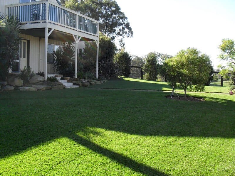 Matilda Turf - Soft Leaf Buffalo Grass – Quality Turf Supplier
