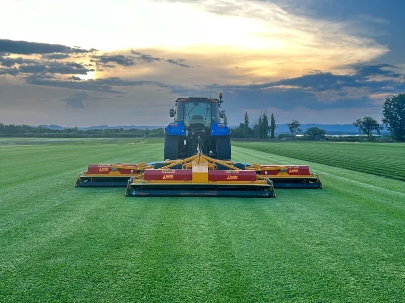 Matilda Turf - Soft Leaf Buffalo Grass – Quality Turf Supplier